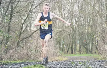 Allaninspi­resHoughto­n tostrongdi­splayinrel­ay - PressReader