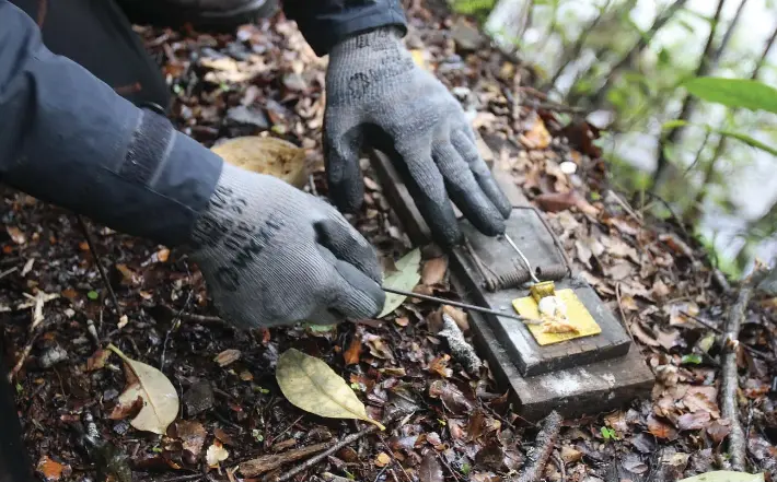 Catchment partners find fixes - PressReader