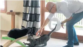 A mouse that refused to be caught - PressReader