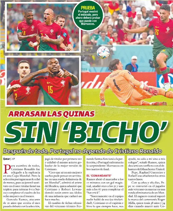 SIN ‘BICHO’ - PressReader