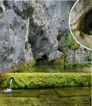 S TEIRERBLUT IST KEIN HIMBEERSAF­T.« - PressReader