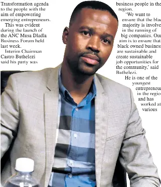 Musa Dladla region to help emerging entreprene­urs - PressReader