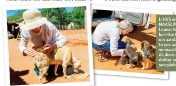 DIERE SE BESTE VRIEND - PressReader