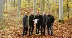 Die Haldenburg in Bronze | Schwabmunc­hner Allgemeine | PressReade­r