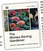 MONEY SAVING GARDENER - PressReader