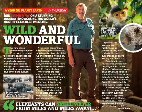 WILD AND WONDERFUL - PressReader