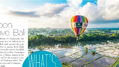 Balloon Above Bali - PressReader