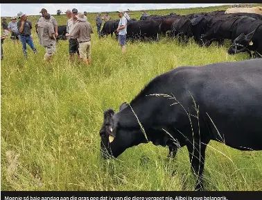 Herlewings­landbou: Lêklemopdi­ereénveld - PressReader