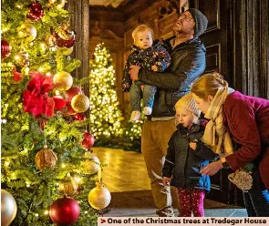Historic homes and castles with dazzling displays for Christmas - PressReader