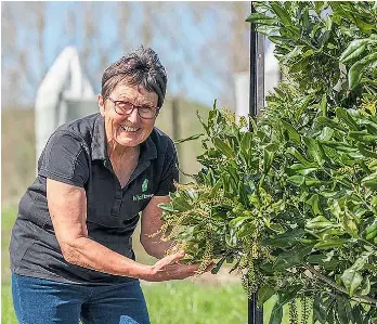 Couple go nuts over macadamias - PressReader