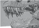 T. rex at center of a debate over dinosaur intelligen­ce - PressReader