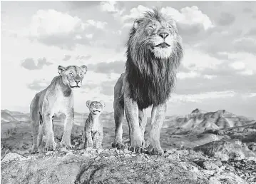 Braelyn Rankins on voicing the title character in ‘Mufasa: The Lion King’ - PressReader