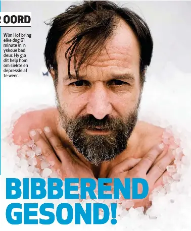 BIBBEREND GESOND! - PressReader