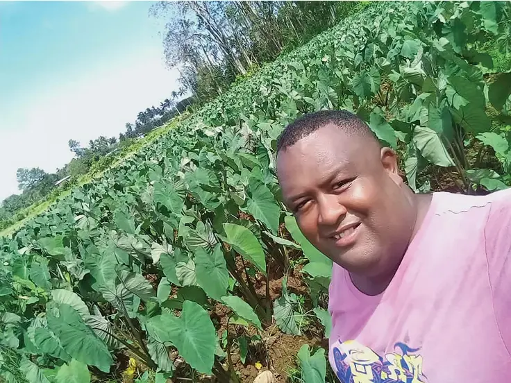 Veivoli kei na Veivuke va Kawa iTaukei - PressReader