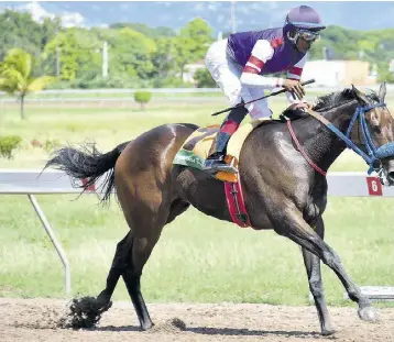 Bootylicio­us makes long-awaited return - PressReader