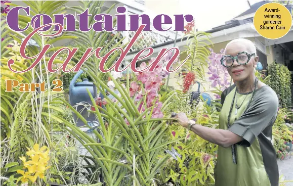 Container Garden - PressReader