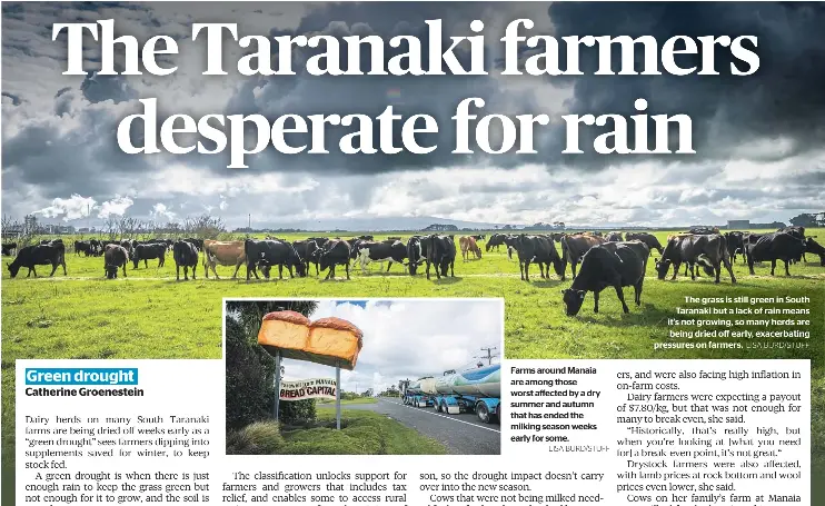 The Taranaki farmers desperate for rain - PressReader