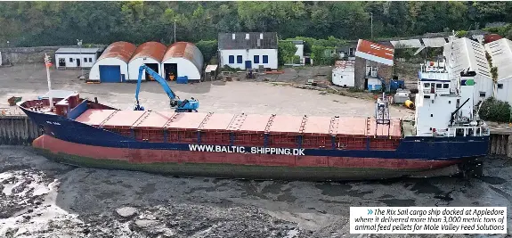 Council ‘delight’ as cargo ships return to historic port - PressReader