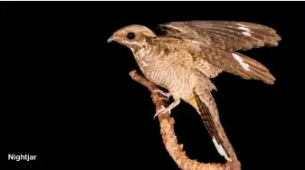 This month... - PressReader