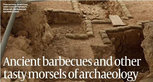 Ancient barbecues and other tasty morsels of archaeolog­y - PressReader