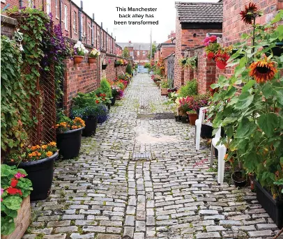 Revitalise neglected spaces - PressReader