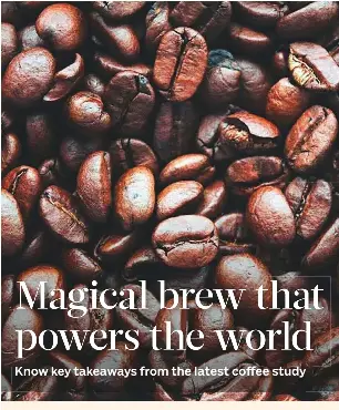 Magical brew that powers the world - PressReader