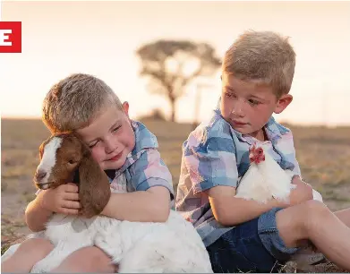 Briewe - PressReader