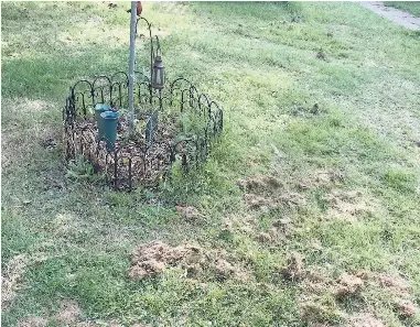 Anger at state of graveyard - PressReader