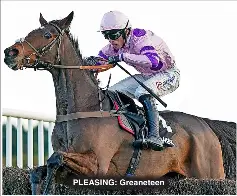 ’TEEN GIVEN GREAN’ LIGHT - PressReader