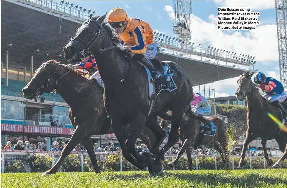 Nessy chasing first G1 triumph - PressReader