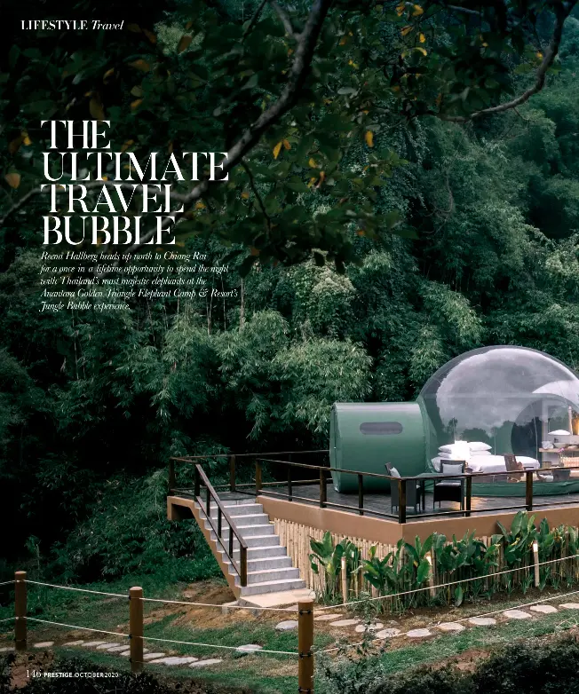 THE ULTIMATE TRAVEL BUBBLE - PressReader