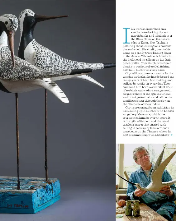 GUY TAPLIN - PressReader