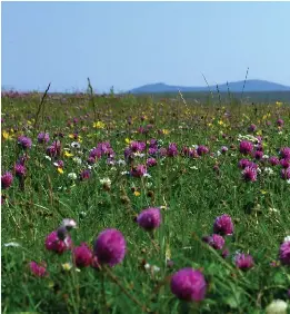 Campaign aims to treble community land ownership - PressReader