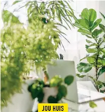 GROEN TERAPIE - PressReader