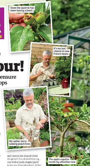 The fruits of my labour! - PressReader