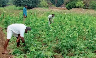 BEHIND BARS - PressReader