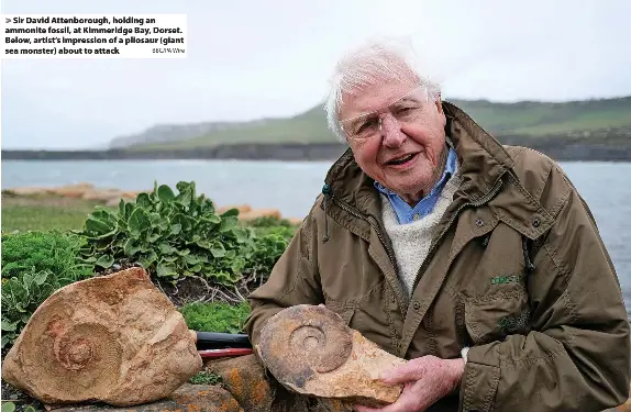 ‘We had to get this giant sea monster skull out of cliffside’ - PressReader