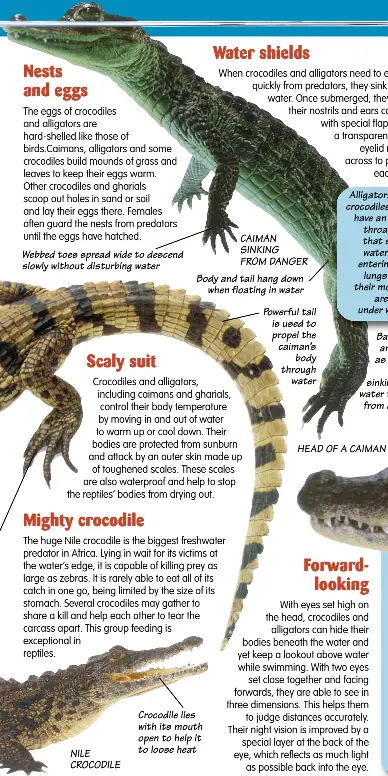 Forward- looking - PressReader