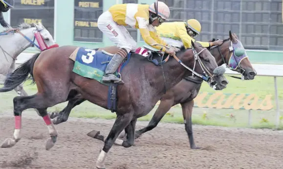 A day to remember for jockey Omar Walker - PressReader