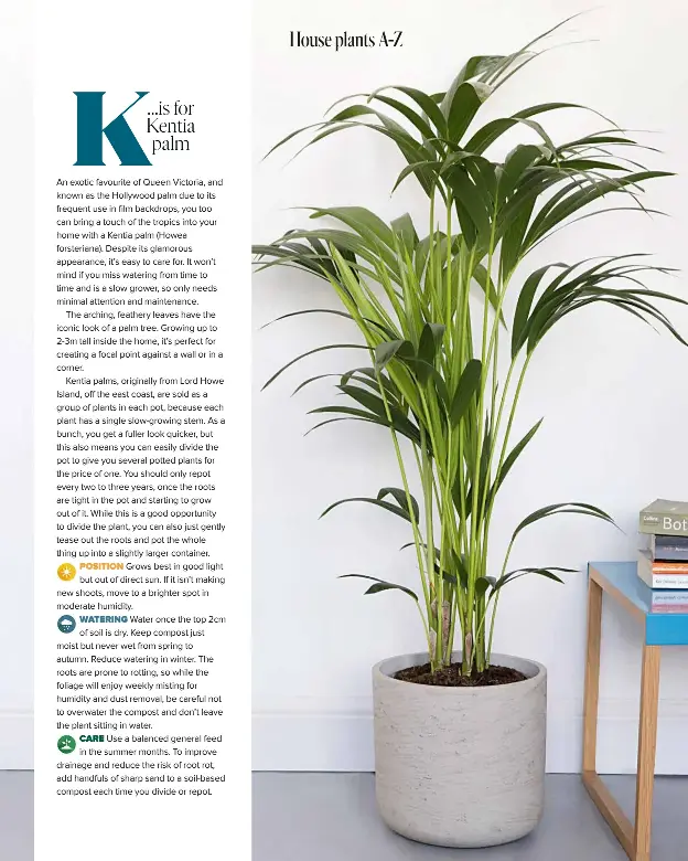 ...is for Kentia palm - PressReader