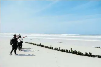 New ‘slow overnight hiking trail’ launched at De Mond Nature Reserve ...