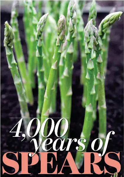 4,000 years of SPEARS - PressReader