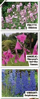 Midsummer MARVELS - PressReader