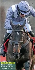 FRANCAIS CLEAR TO RUN IN KING GEORGE - PressReader