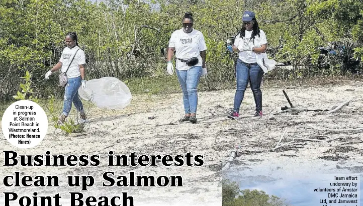 Business interests clean up Salmon Point Beach - PressReader