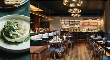 GREEN SCENE - PressReader