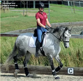 Lessons lea ned - PressReader