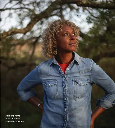 GILLIAN BURKE - PressReader