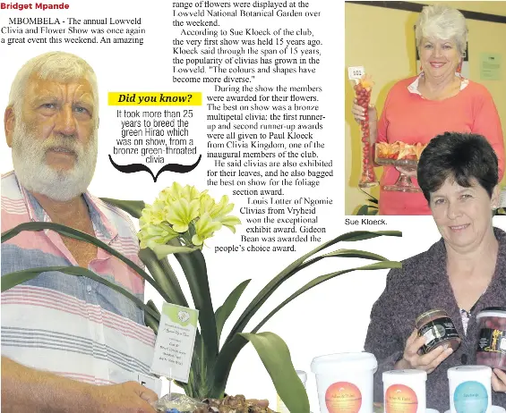 Winning clivias flourish at annual show - PressReader