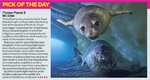 Frozen Planet II - PressReader